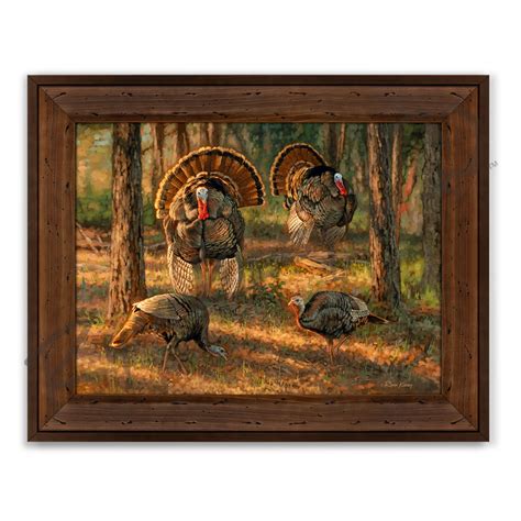 Dance Card Wild Turkey Canvas Art Print Ryan Kirby Wildlife And