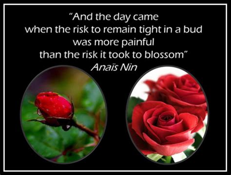 Rosenbergs Surgeon General Warning The Codependency Cure Book Excerpt