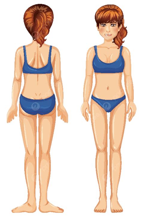 Vista Frontal Y Trasera De La Mujer Con Bikini Azul Vector PNG Chica