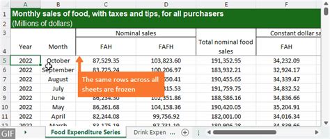 Freeze Rows And Columns In Excel Easy Tutorial