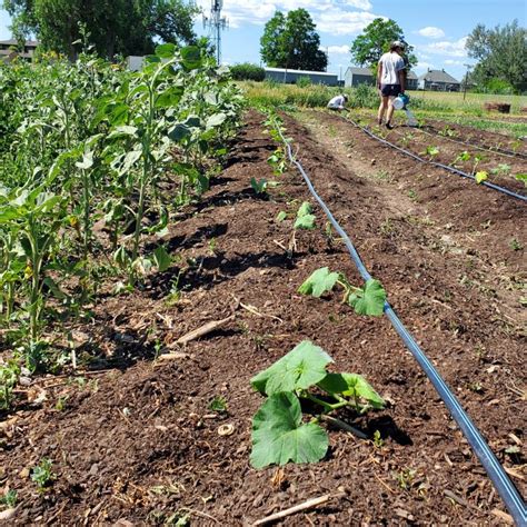 Gofarm On Linkedin Gofarm Localfarm Localfood Foodequity