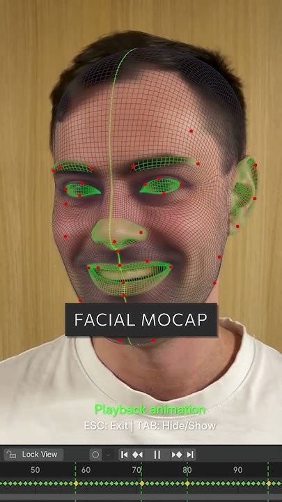 Reshape Face In Video — Keentools Facetracker For Blender Addon