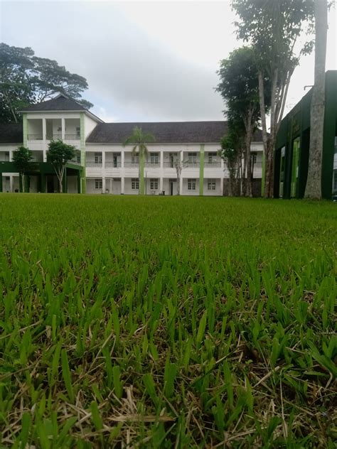 Profil Smp Islam Bunga Bangsa Samarinda Kota Samarinda Ppdb Biaya Masuk Pendaftaran