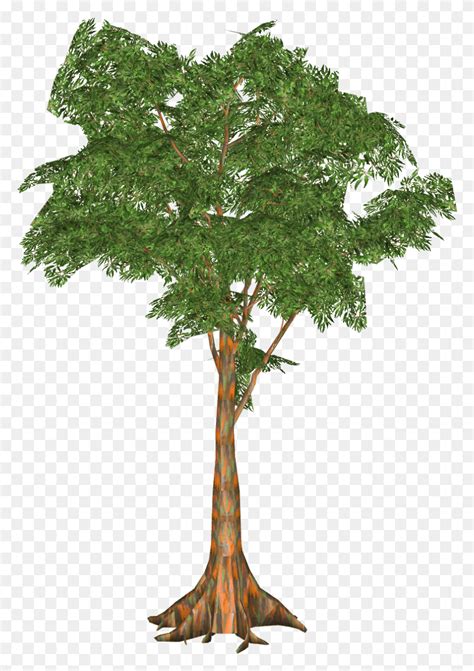 Eucalyptus Arvore Jurassic Park Tree Plant Maple Hd Png Download