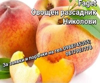 Праскови | Продажба на овощни дръвчета Сливен