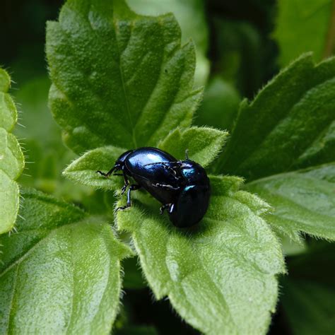 Ter Nagedachtenis Van Alle Rotte Seksadviezen