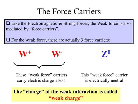 Weak Force
