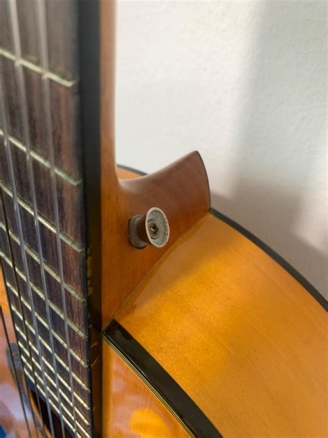 Guitar Protege By Maestro Classical Acoustic Guitar Hobbies Toys