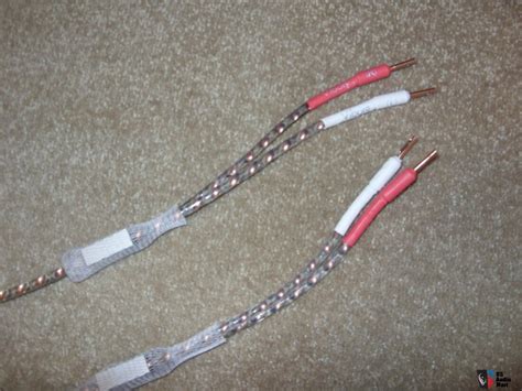 Viborg VS903 Speaker Cable W Bananas Both Ends Photo 4468960 US