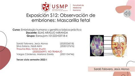 Observación De Embriones Mascarilla Facial Mariana Zarelly Vargas