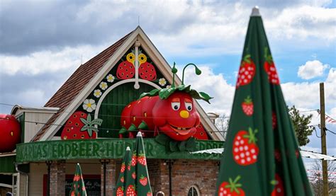 Karls Erdbeer Unternehmer Will Erlebnis Dorf In Amerika öffnen Mopo