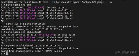 Kubernetes（k8s）dns（coredns）介绍一、dns服务概述 K8s主要有两种service发现机制：环 掘金