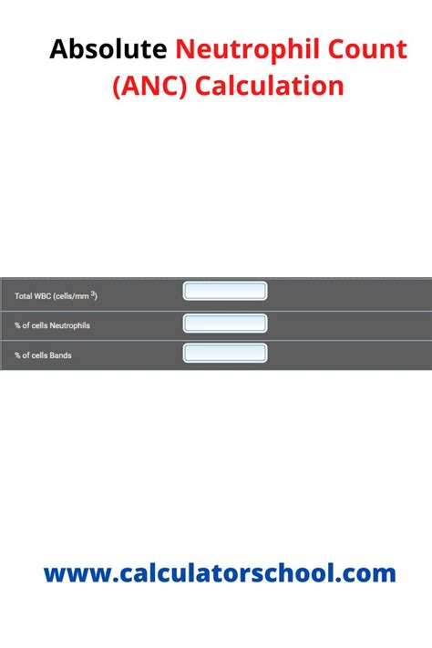 Absolute Neutrophil Count ANC Calculation Absolute Neutrophil Count White Blood Cells