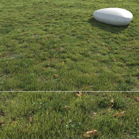 Modern Grass 3d Max