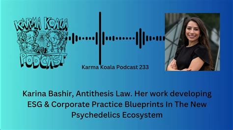 Karma Koala Podcast 233 Karina Bashir Antithesis Law Youtube