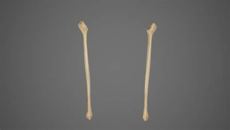 รูปภาพfibia เลือกดูภาพถ่ายสต็อก เวกเตอร์ และวิดีโอ14769 Adobe Stock