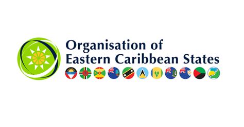 Tevin Shepherd On Linkedin Monitoring And Evaluation Officer