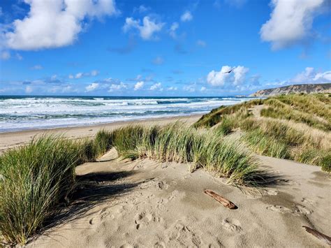 Kehoe Beach 2026 Best Of Tiktok Instagram And Reddit Travel Guide