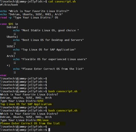 How To Use If Statement In Bash Scripting