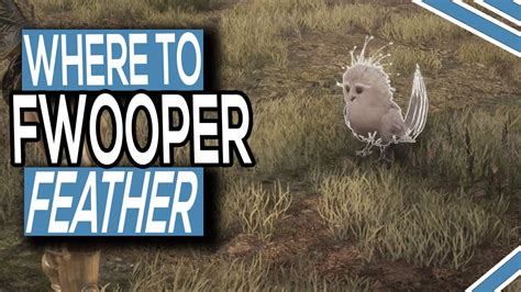 Fwooper Harry Potter