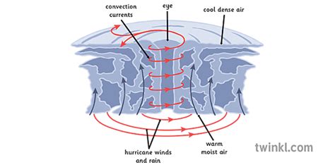 Regina Cyclone Twinkl CA Teaching Wiki Twinkl