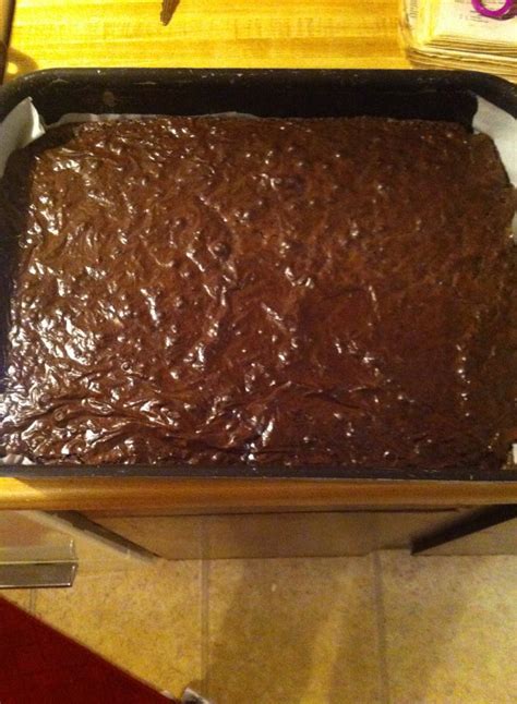 Mollys Antics So All You Had To Do Is Ask For Some Brownies Ya Didnt Have To Go All