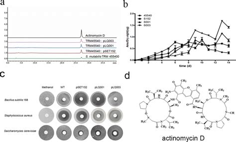 A Hplc Analyses Of The Actinomycin D Production In The Mutants B