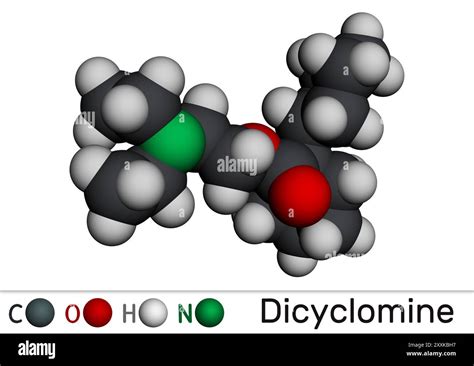 Dicyclomine Dicycloverine Molecule Antimuscarinic Drug Used To Treat Ibs Molecular Model 3d