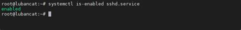 探索Systemd 野火 嵌入式Linux镜像构建与部署基于LubanCat RK系列板卡 文档