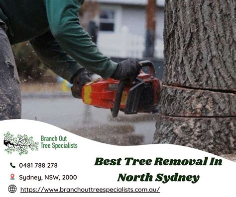 Arborist Tree Removal Free Photo On Pixabay Pixabay