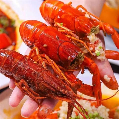 曾庆伟谈吃：龙虾宴湖北全国武汉