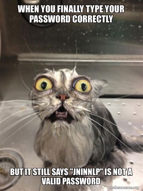 When You Finally Type Your Password Correctly But It Still Says