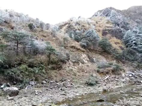 秋風梳理黃葉轉眼又到寒冬 每日頭條