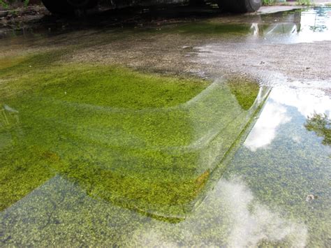 Admin Reference Csp Color Pallete Lurid Max