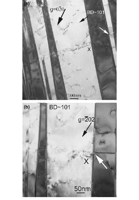 A Bright Field Tem Micrograph Of Shear Transfer Across Ptinterfaces