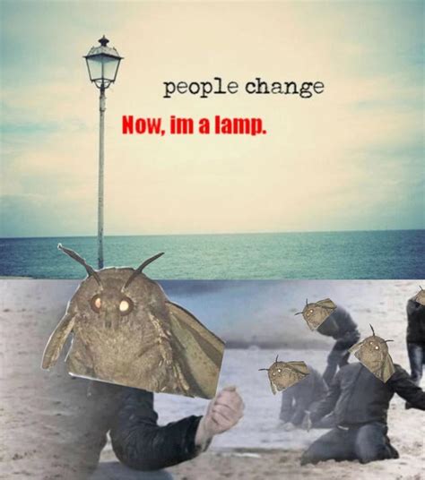 Moth Te Chers Moth Lamp Know Your Meme