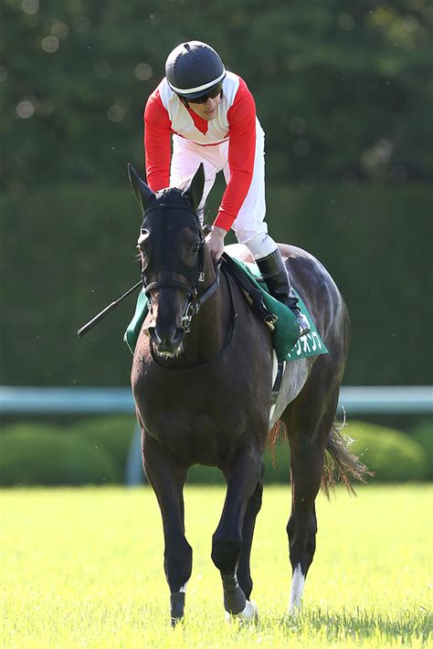 第71回鳴尾記念 ストロングタイタンが重賞初制覇 Moment日刊ゲンダイ