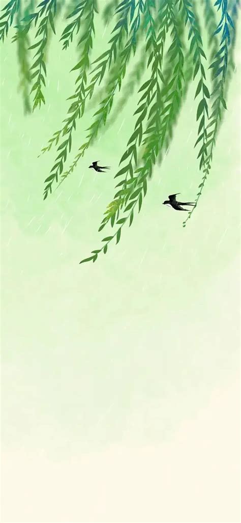 《鸟儿》 花瓣网