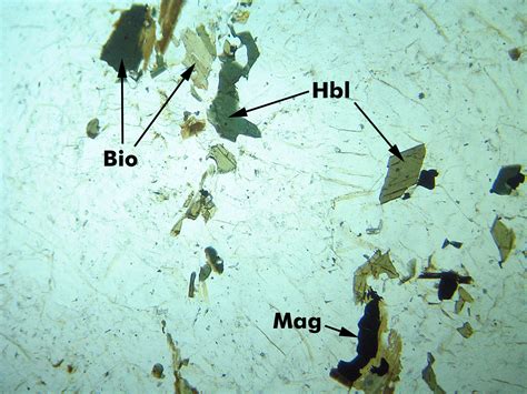 Feldspar Thin Section