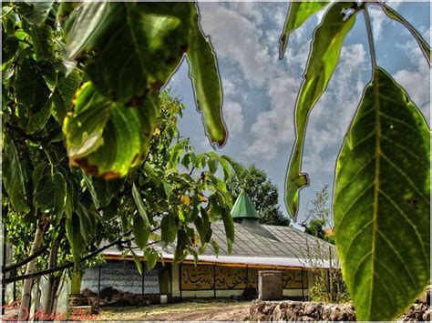 امامزاده قاضی میر سعید قاضی میر سید