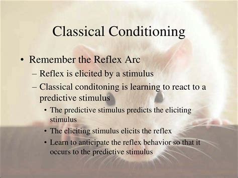Ppt Habituation And Classical Conditioning Powerpoint Presentation