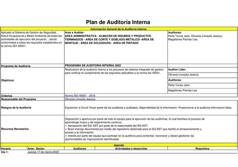 Plan De Auditoría En Excel Sofia Perez Udocz