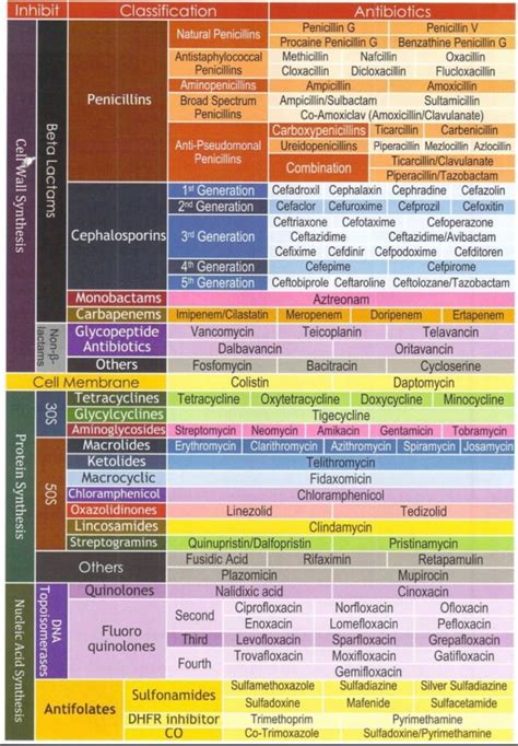 Classification Of Antibiotics 🧪💉💊🧬 Nelia Rodriguez Garcia