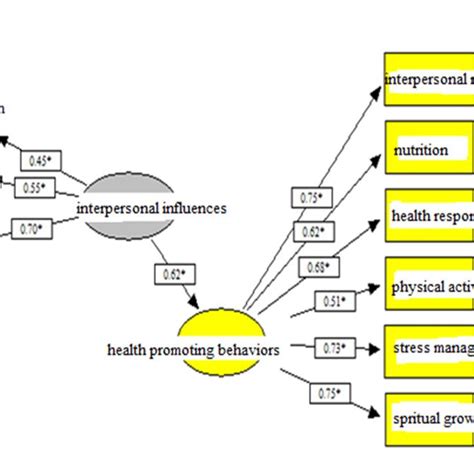 Pdf The Interpersonal Influences As A Factor For Health Promoting
