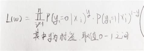 将其化简：机器学习 Logistic回归回归模型的对数似然函数化简 Csdn博客