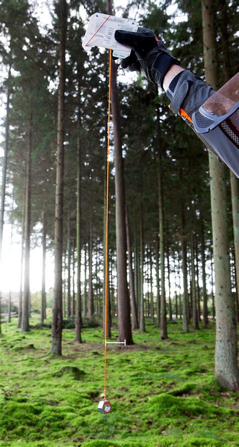 Device For Measuring Tree Height At Gerard Martin Blog