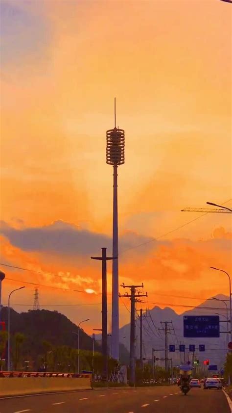认识的人越多，越喜欢狗。《情感文案》