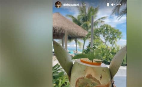 Disha Patanis Yummy Vacation Meal With A View Is Making Us Hungry