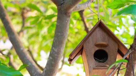 野鳥を呼ぶお庭をつくろう 外構工事ガーテリア