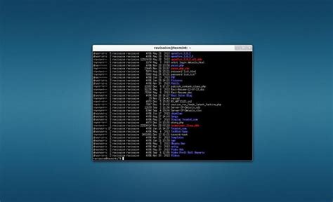 Unity On Linux Runity3d